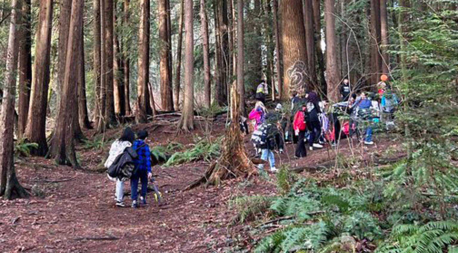 Sustainability Efforts - Burnaby Schools - School District 41, Burnaby ...